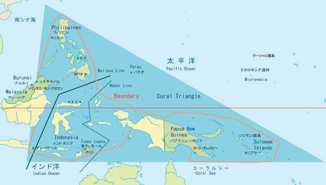 エンドレス-コーラルトライアングル